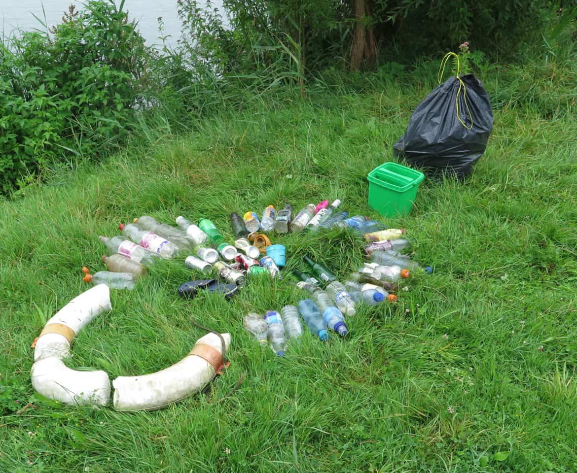 The Big Tengnagel Litter Project