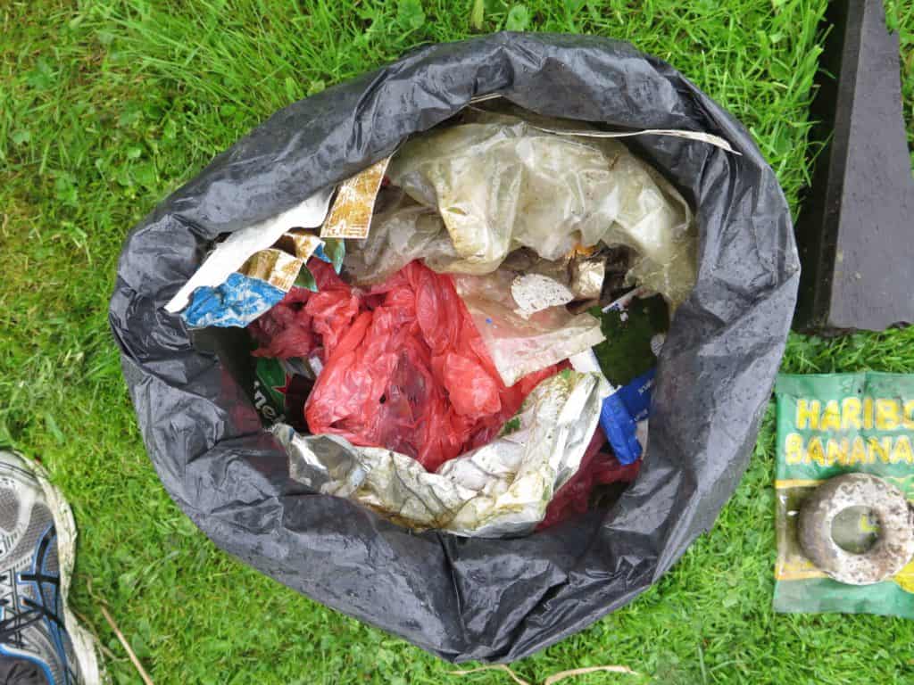 The Big Tengnagel Litter Project