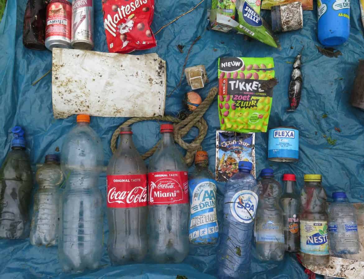 The Big Tengnagel Litter Project